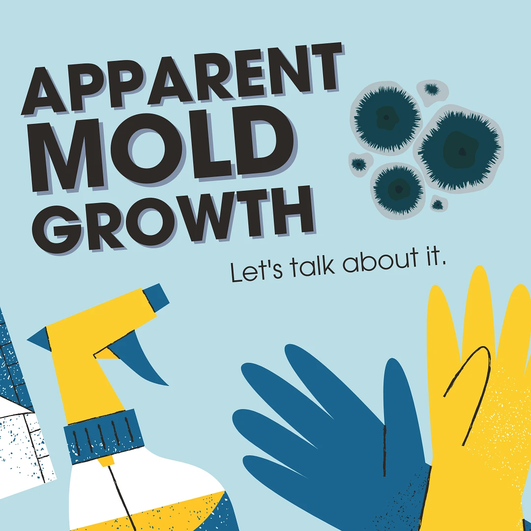 Let's Talk About Mold: A Guide for Parents on | Owl Family Hub