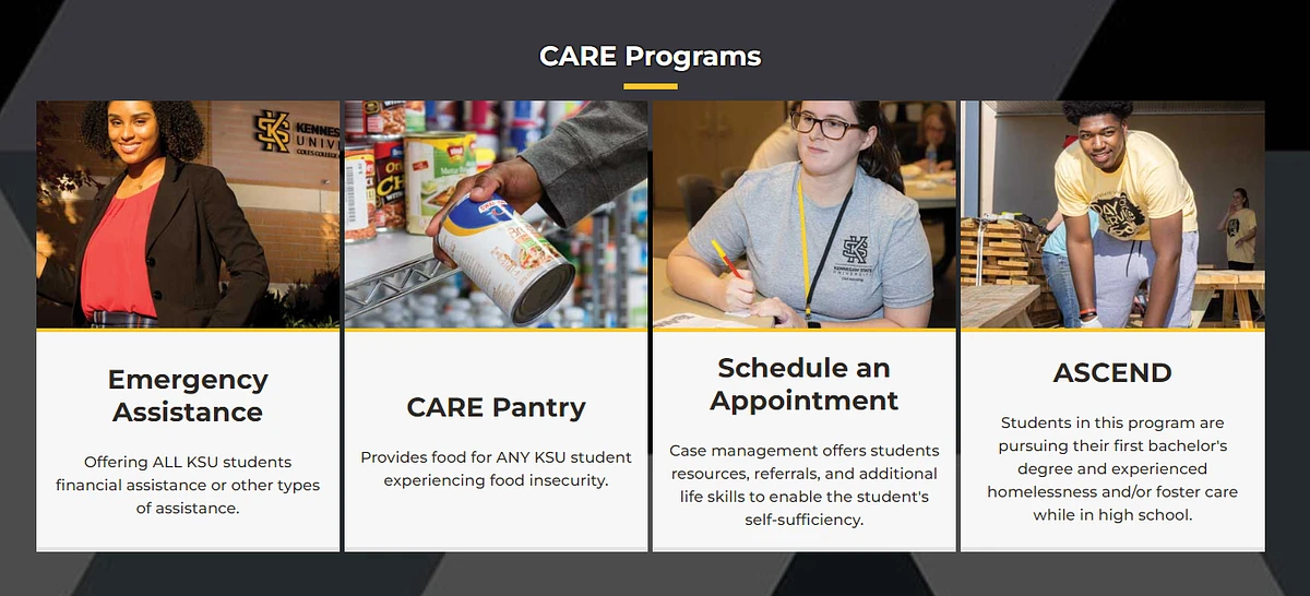 Have you heard of KSU's CARE Services? | Owl Family Hub